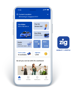 CDG Zig - ComfortDelGroTaxi